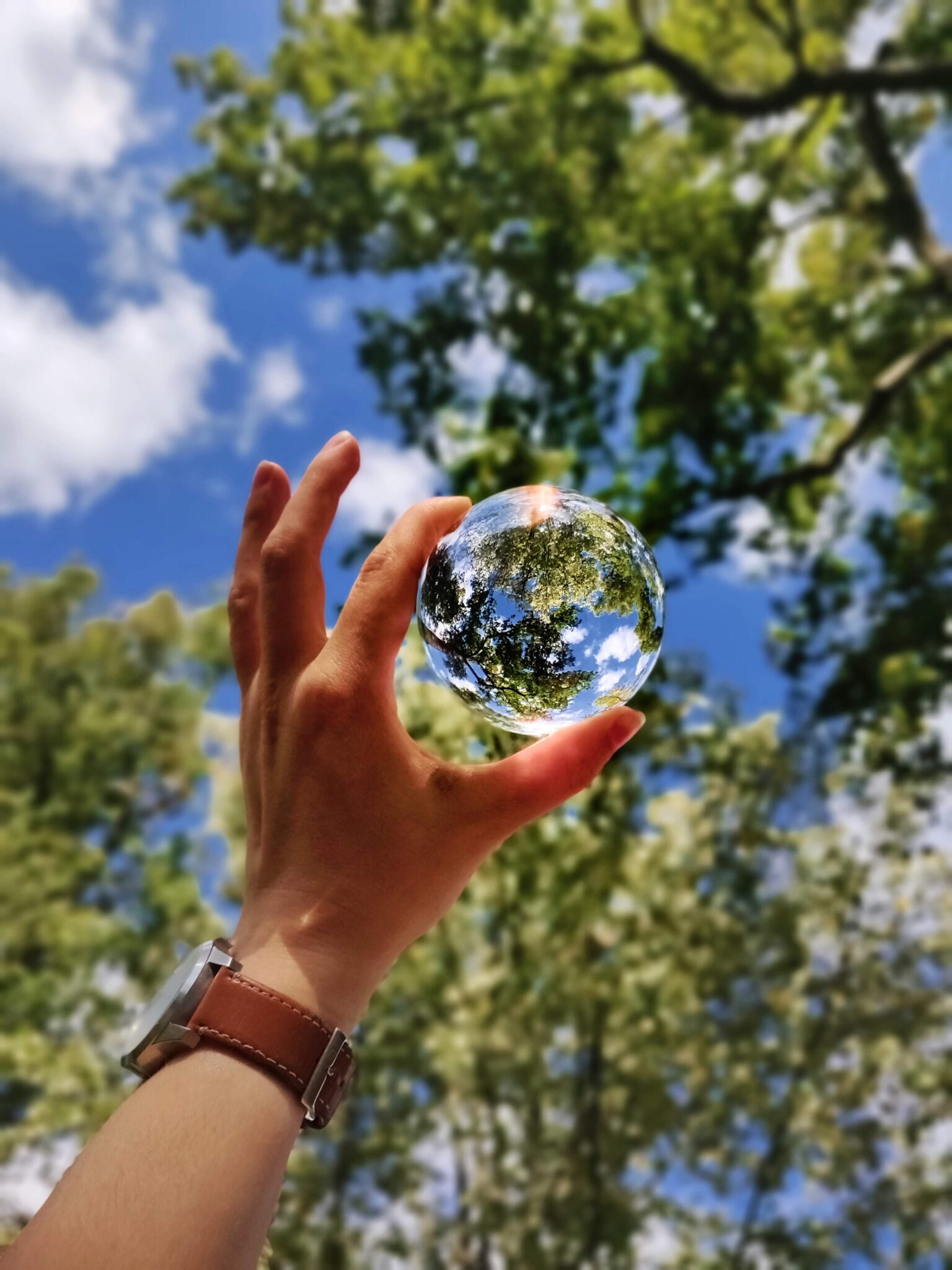 Outstanding ESG Enterprises Recognition Scheme 2025